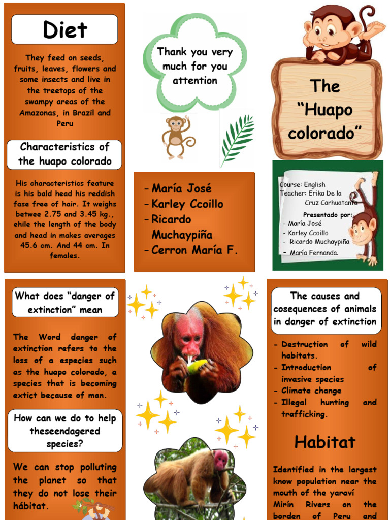 Triptico Mono Huapo Colorado | PDF