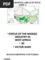 The Boschveld Chicken | PDF | Chicken | Poultry Farming