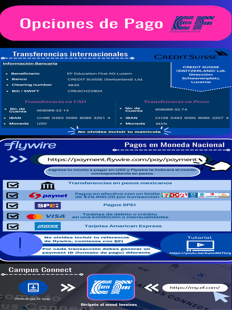 Métodos de Pagos | PDF