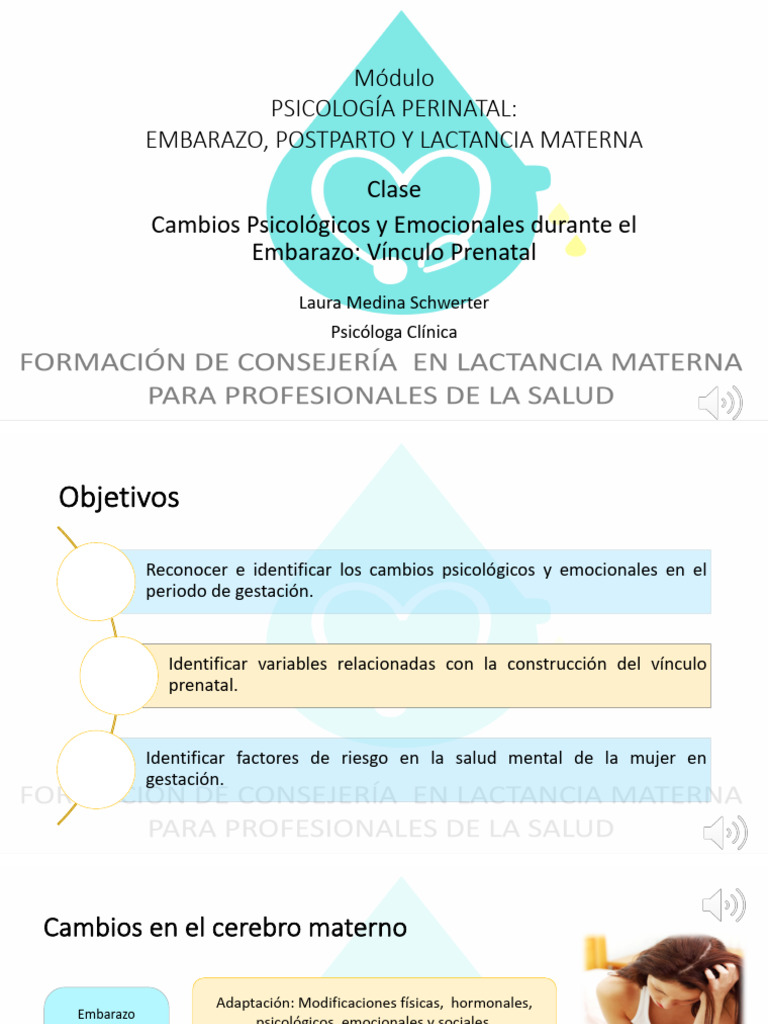 Clase 1 Cambios Psicológicos y Emocionales Durante El Embarazo. Vínculo Prenatal | PDF | Teoría ...