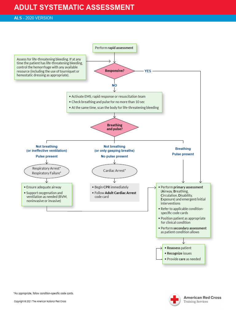 ALS Code Card - Adult Systematic Assessment | PDF | Cardiopulmonary ...