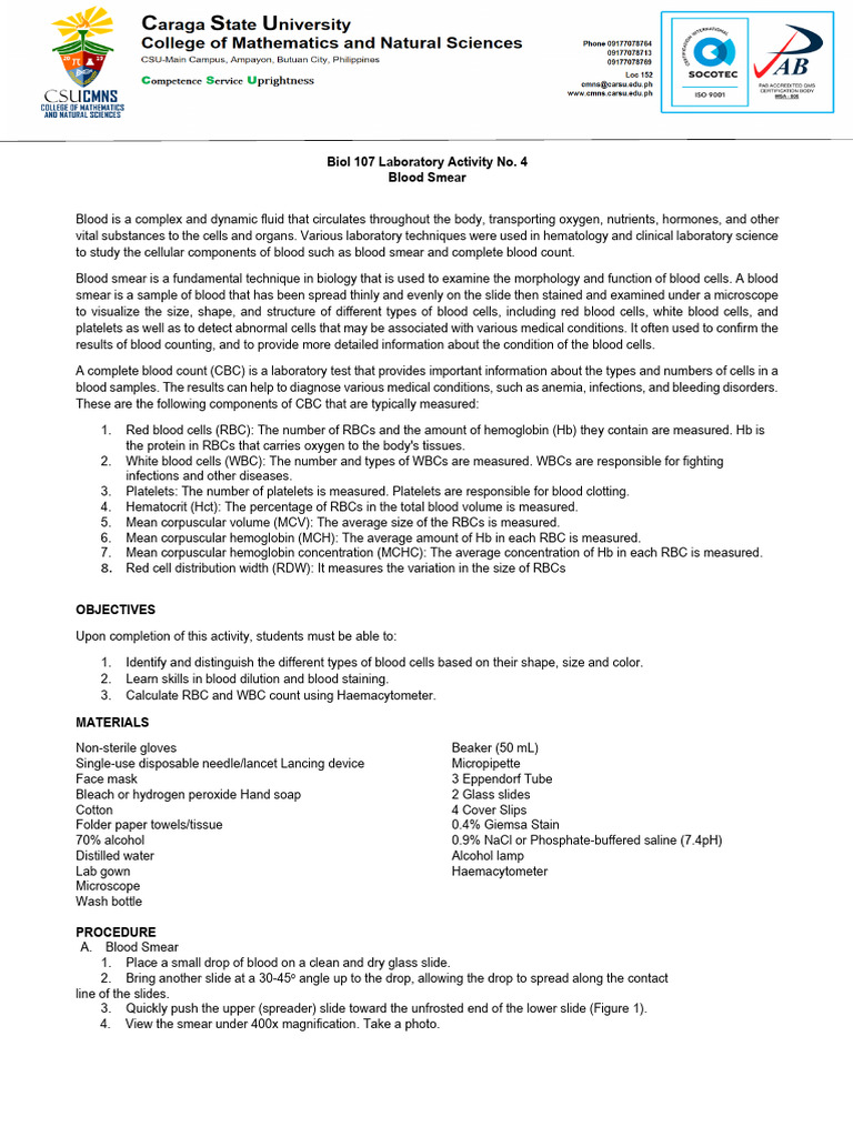 Exer 4 - Blood Smear | PDF