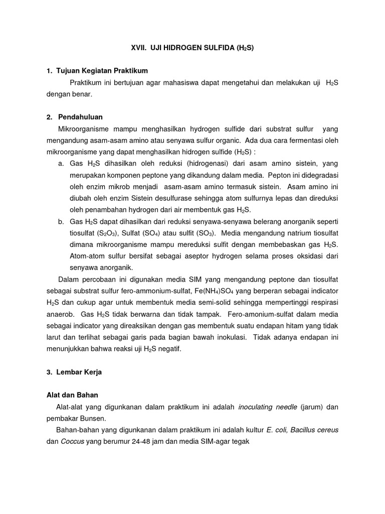 Uji H2S | PDF