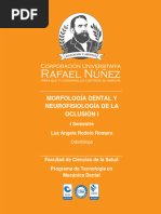Tipos de Líneas de Terminación Dental | PDF | Dentadura postiza | Ramas ...