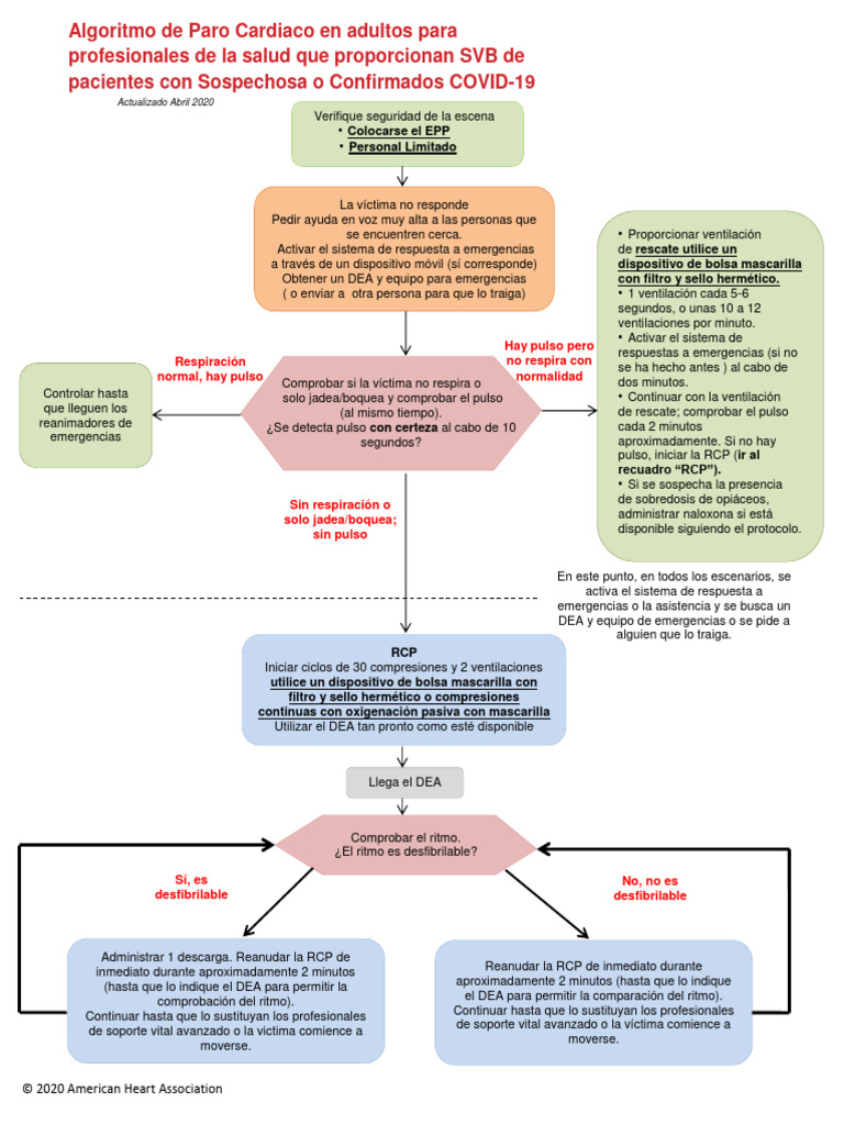 BLS Algoritmo de Paro Cardiaco en Adultos Del Proveedor de Atención ...