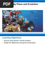 Fish Nares: Smell Mechanism Explained | PDF | Olfaction | Fish