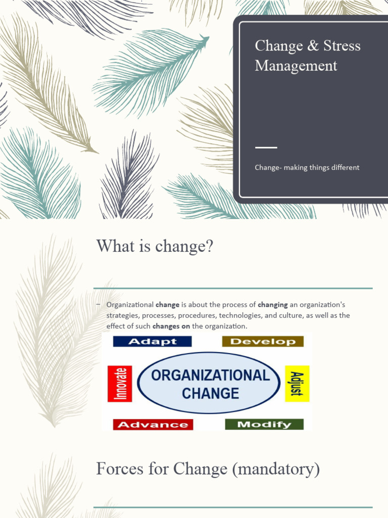 CH 19 Change Stress Management | PDF