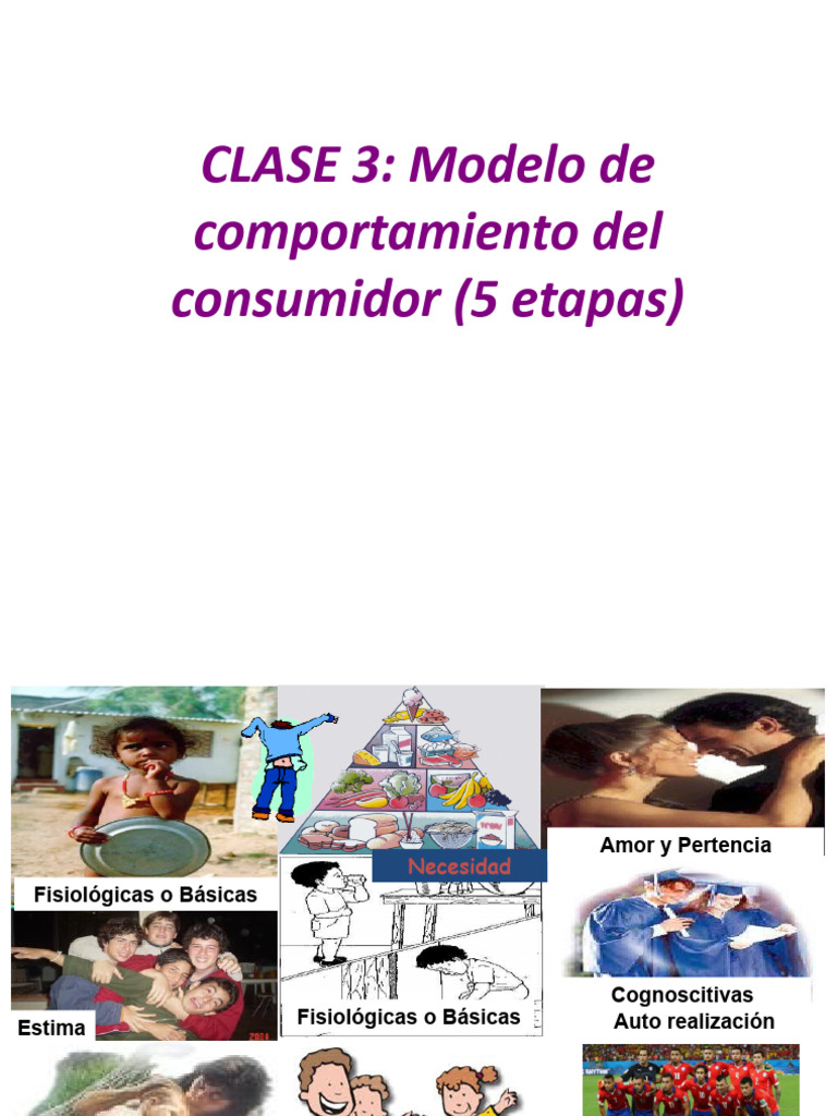 Comportamiento Del Consumidor (5 Etapas) | PDF