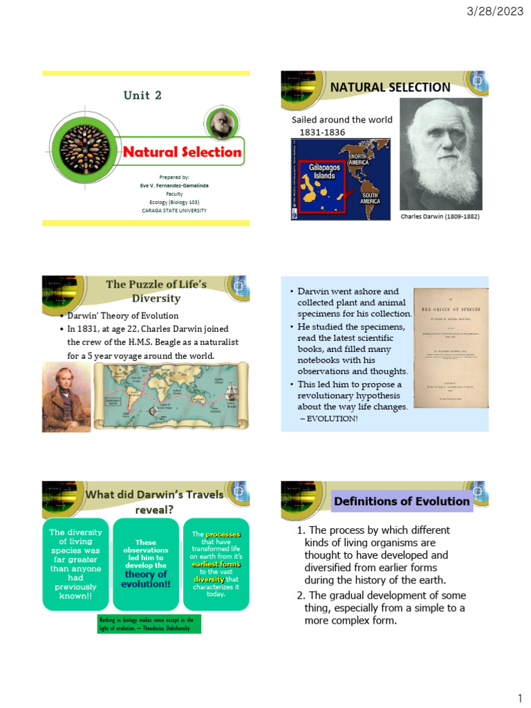 Lec 2. Natural Selection | PDF