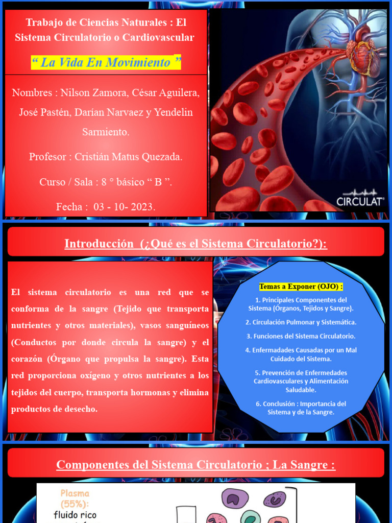 Trabajo de Ciencias Naturales (Biología del Cuerpo Humano, PPT del ...