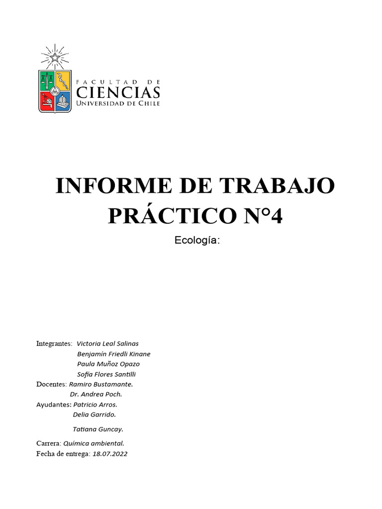 Informe de Trabajo Practico 4 | PDF