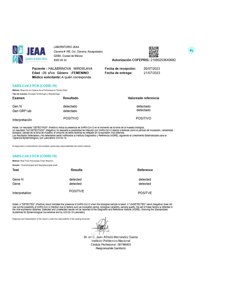 Technical Document Analysis | PDF | Technology & Engineering