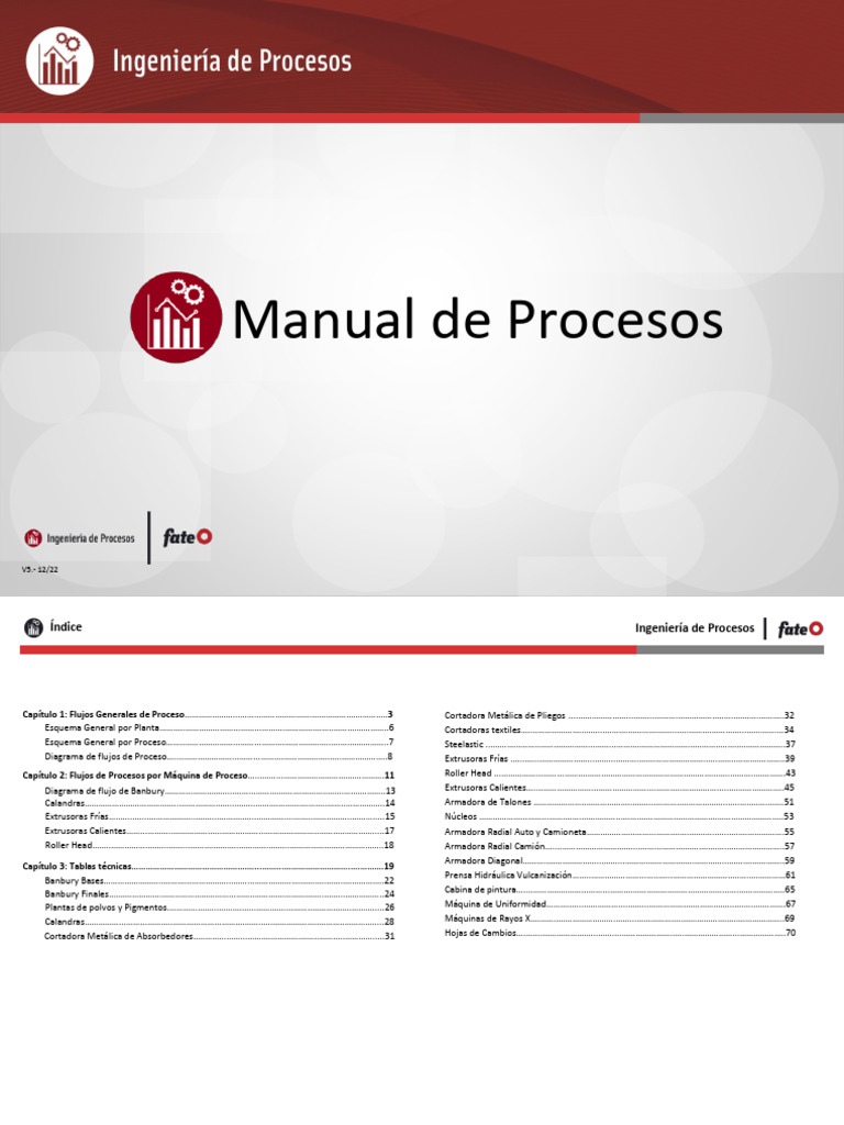 Manual de Procesos | PDF