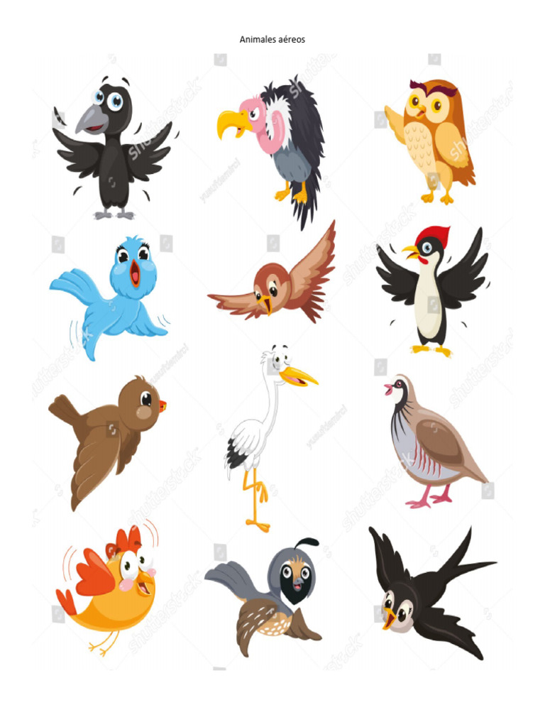 Animales Aéreos | PDF