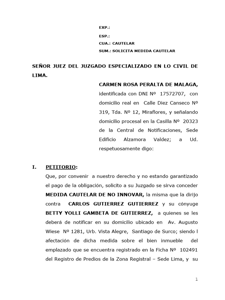 Medida Cautelar De No Innovar Pdf