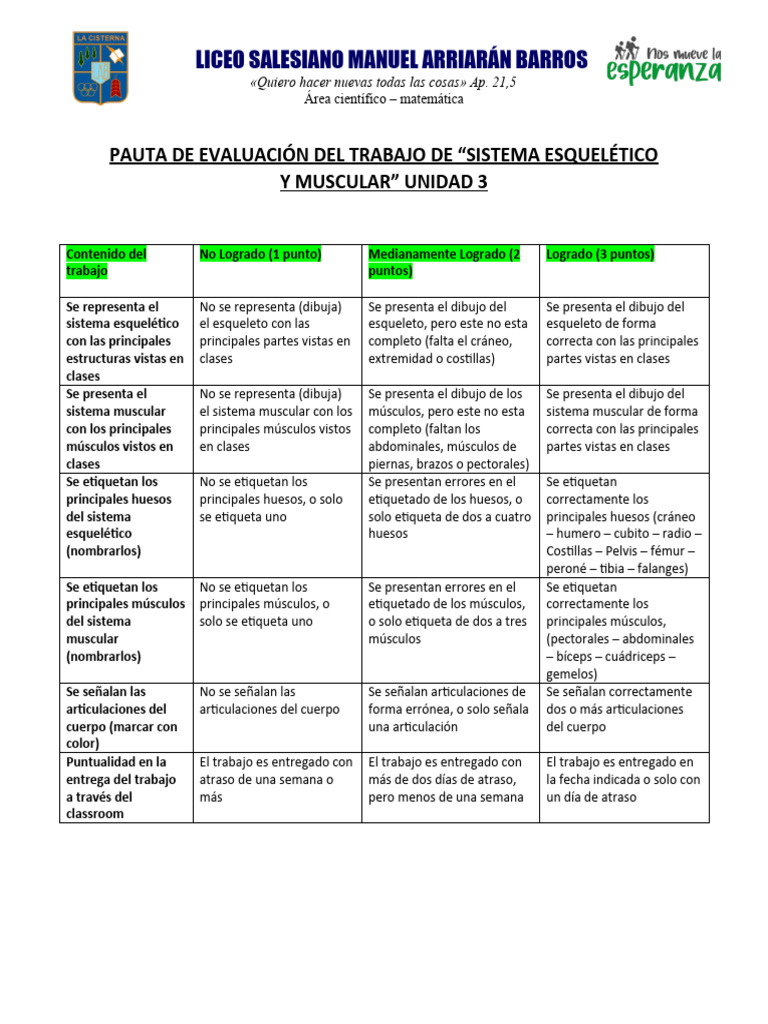 Pauta de Evaluación Trabajo Sistema Locomotor | PDF