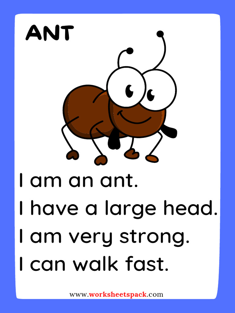 Insect Reading Comprehension for Kids | PDF