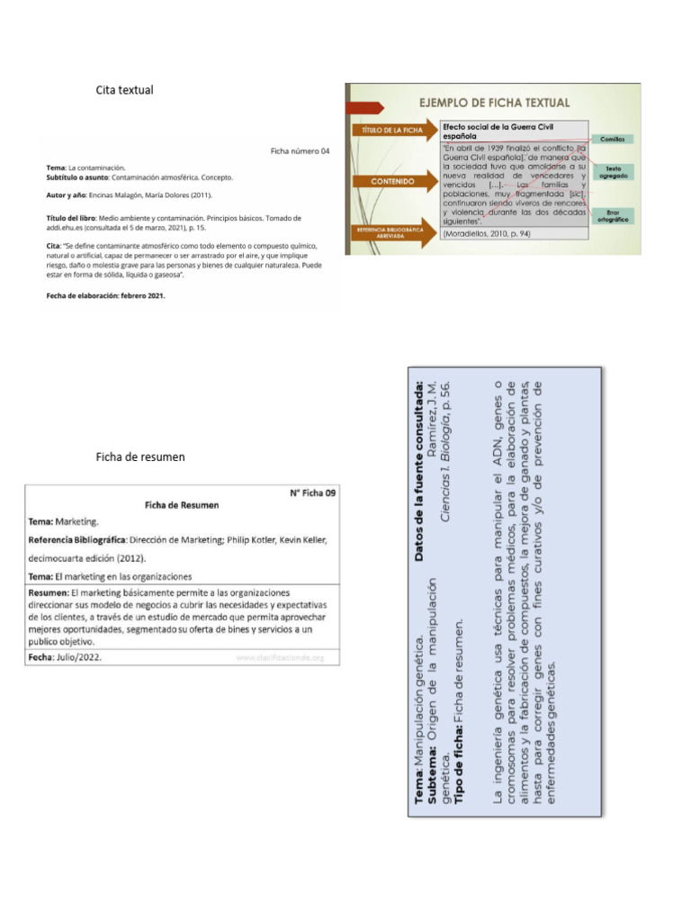 FICHAS TEMATICAS | PDF