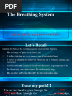 Lung Model With Two Lungs and Diaphragm Lab | PDF