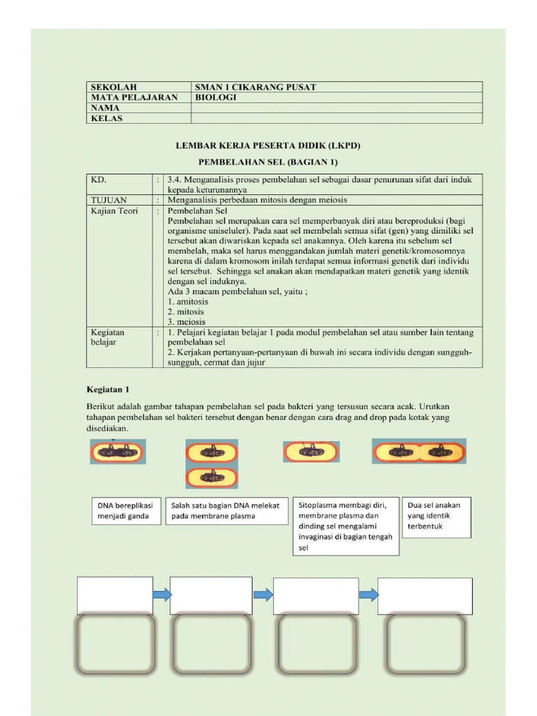LKPD-1 PEMBELAHAN SEL | PDF
