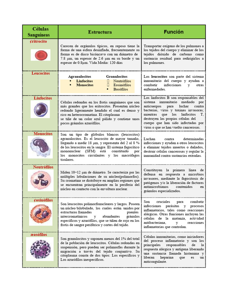 Celulas Sanguineas | PDF