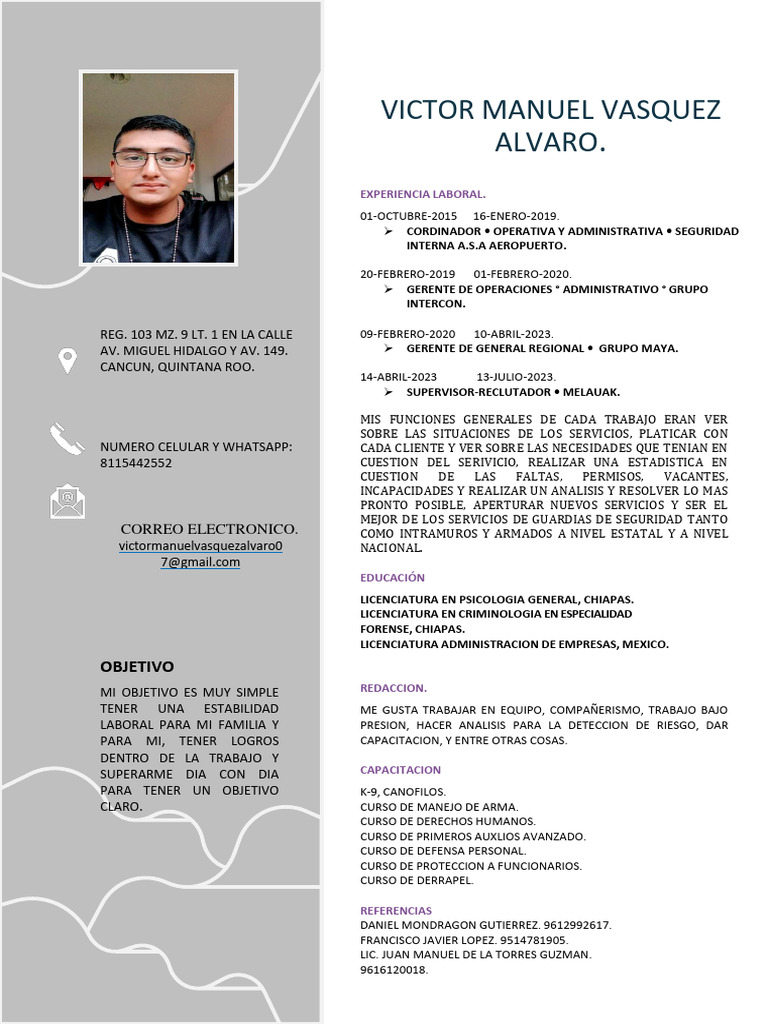 Perfil Profesional de Víctor Manuel Vásquez | PDF