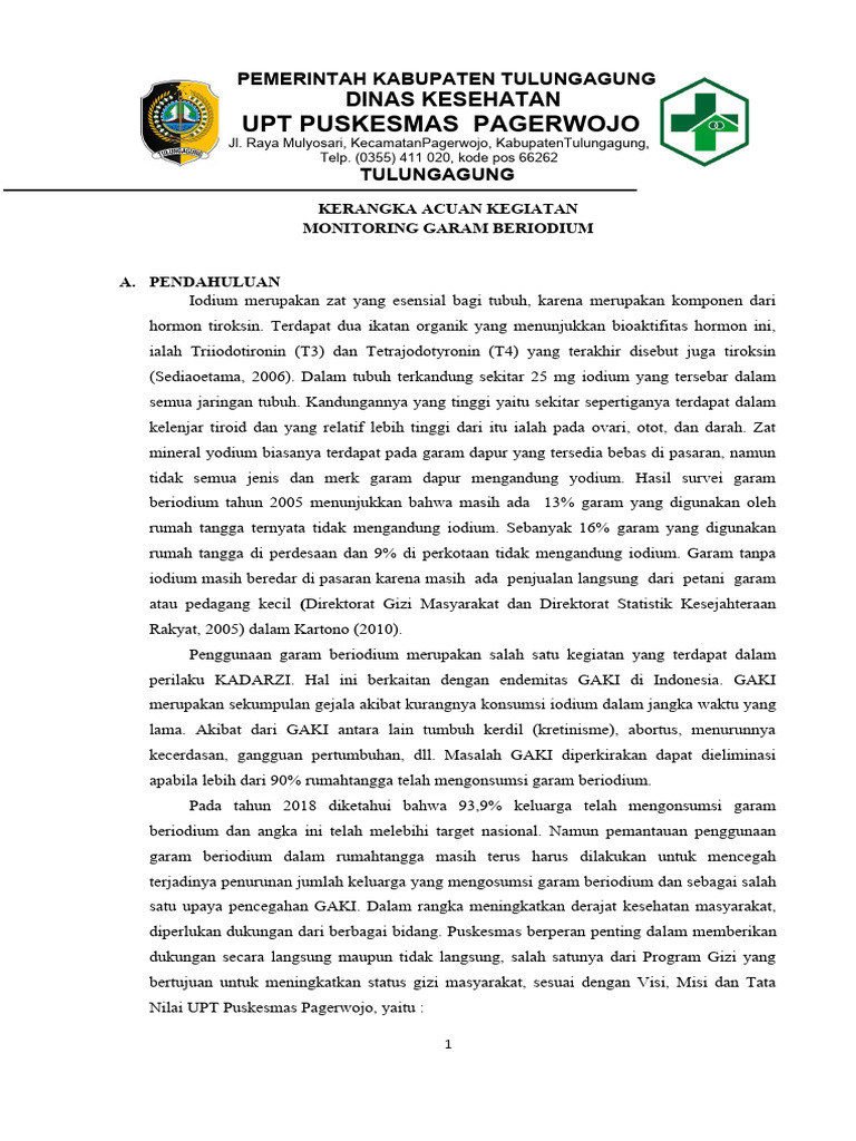 Kak Monitoring Garam Iodium | PDF