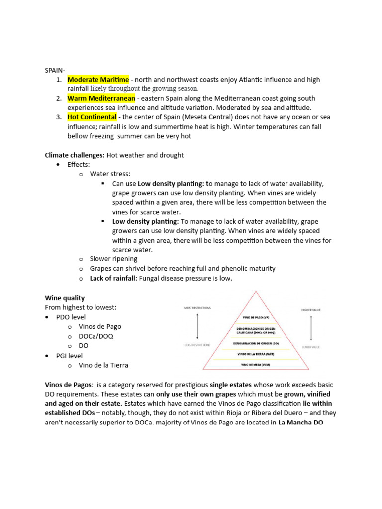 Spain Wset Level 3 | PDF | Viticulture | Fermented Drinks