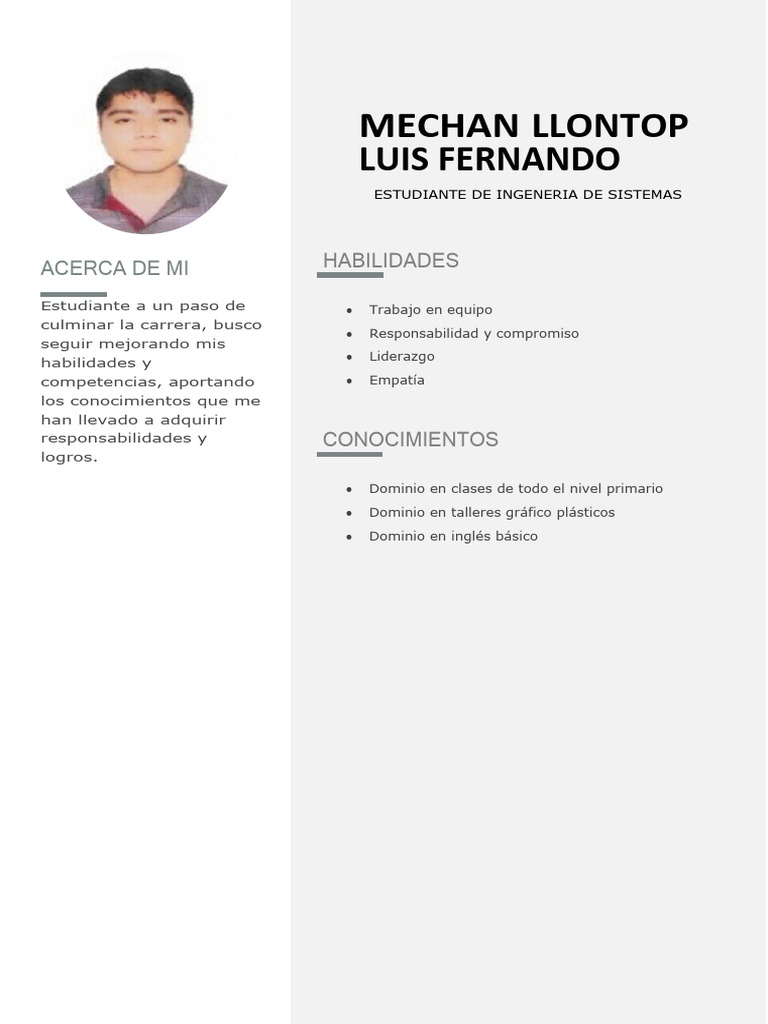 CV Luis Fernando | PDF