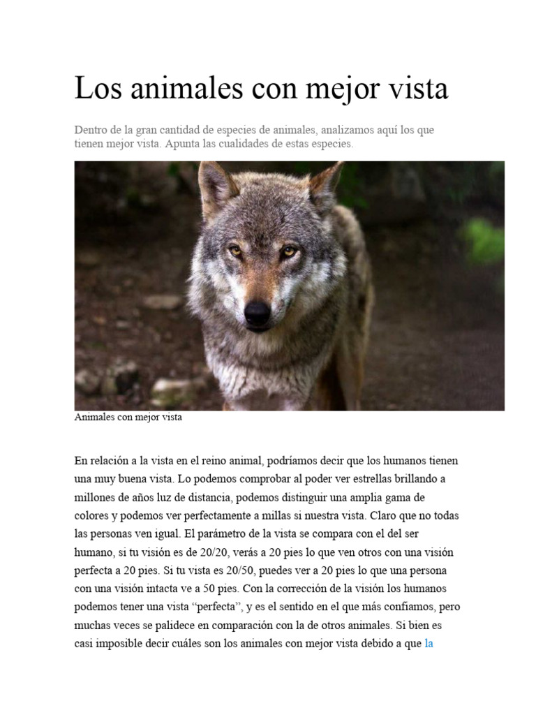 Los Animales Con Mejor Vista | PDF | Ojo | Percepción visual Los Animales Con Mejor Vista | PDF | Ojo | Percepción visual