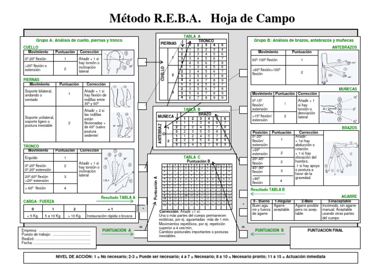 Hoja de campo REBA | PDF