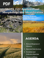 Alberta's Natural Regions Overview | PDF