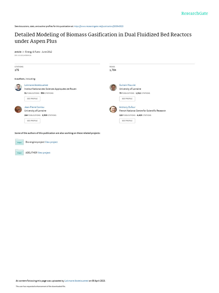 Biomass Gasification Modeling in DFB | PDF