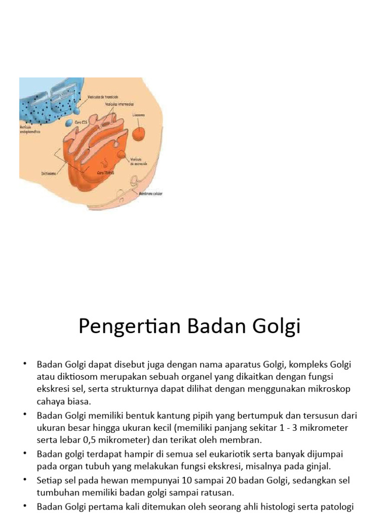 Badan Golgi | PDF | Sains & Matematika