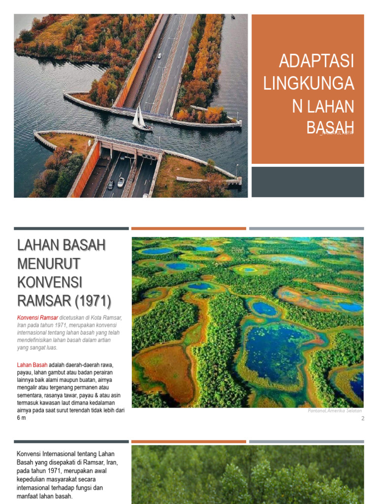 Adaptasi Lingkungan Lahan Basah | PDF