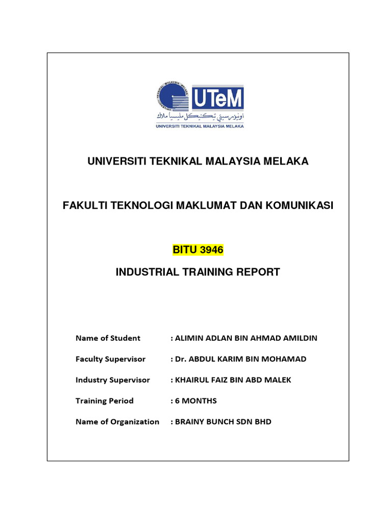 Industrial Training Report at Brainy Bunch | PDF | Experience ...