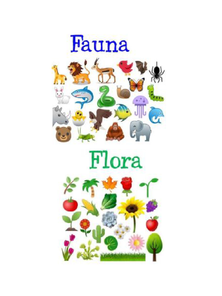FAUNA FLORA | PDF
