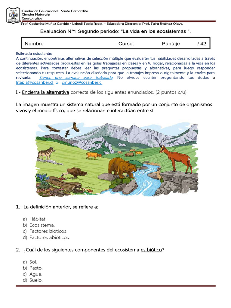 ECOSISTEMA | PDF | Red alimentaria | Plantas