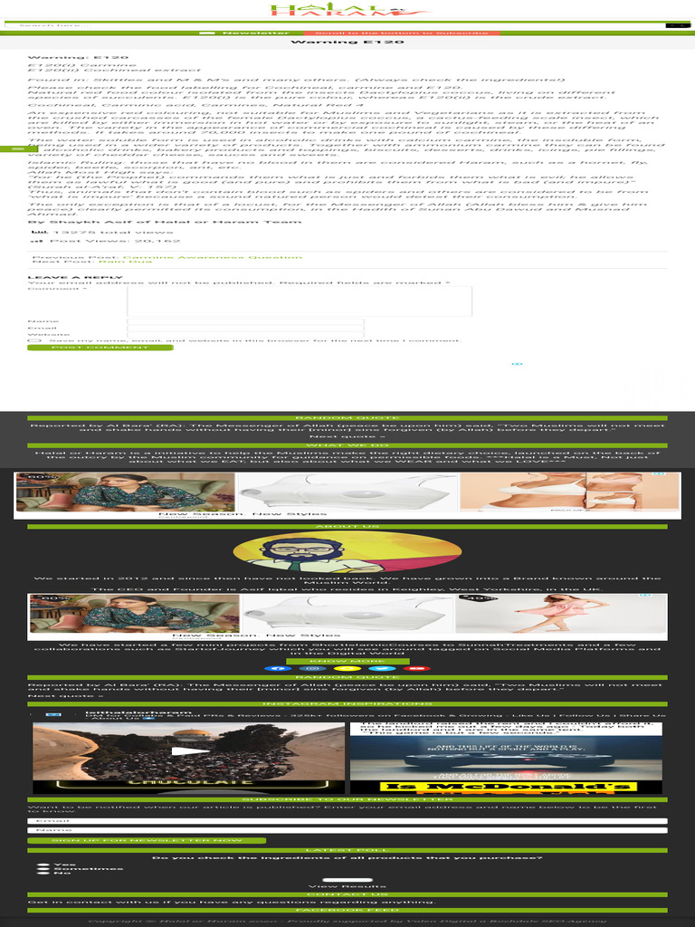 Warning E120 - Halal or Haram | PDF