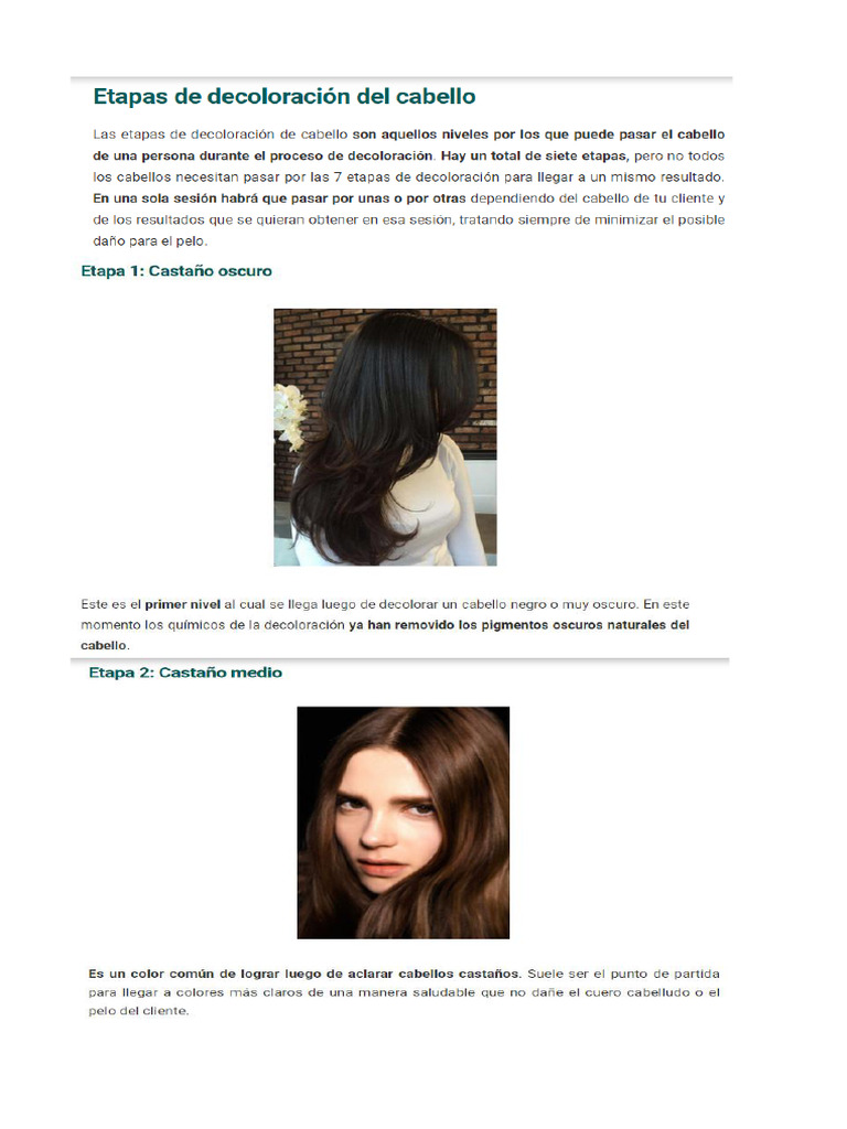 Guía de 7 Etapas de Decoloración Cabello | PDF
