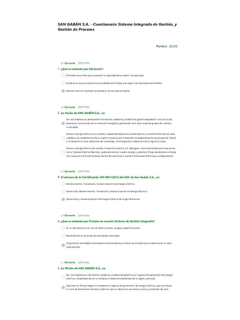 Cuestionario SGI | PDF