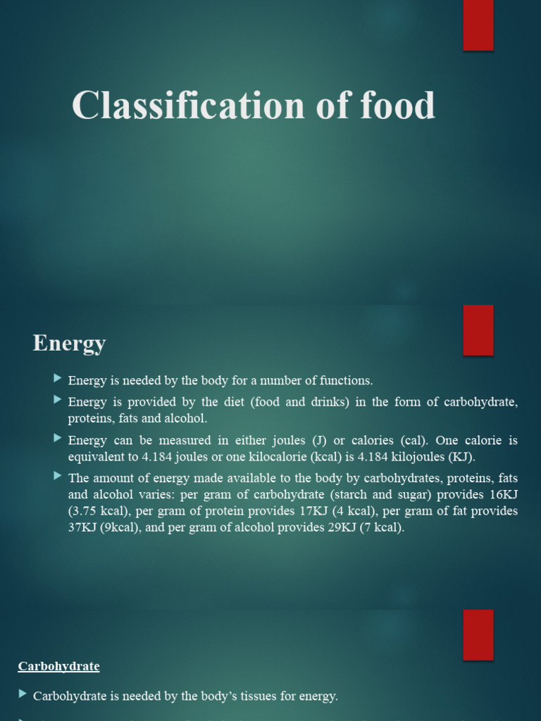 Classification of Food | PDF