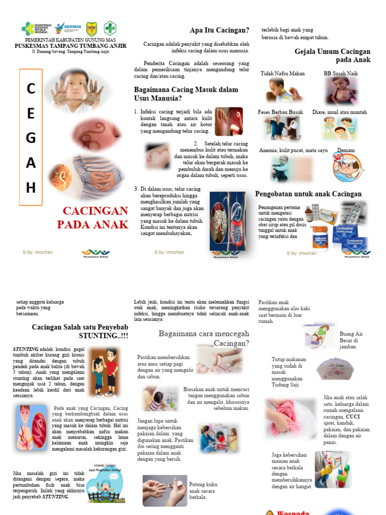 Leaflet Kecacingan | PDF