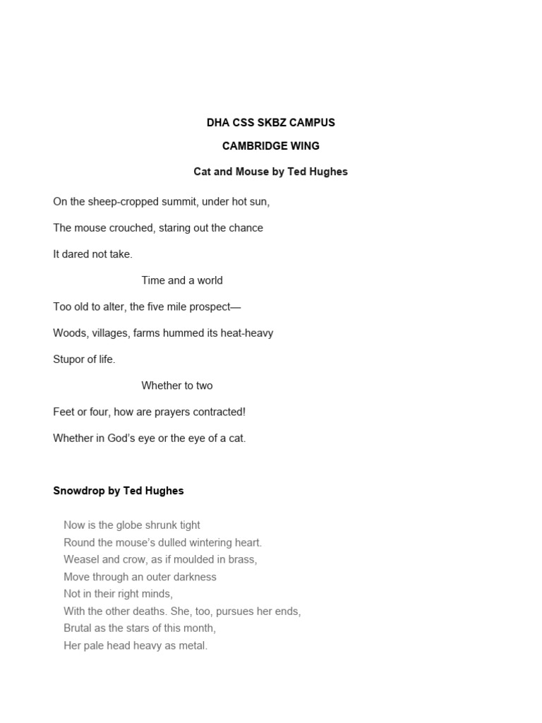 Poem by Ted Hughes | PDF