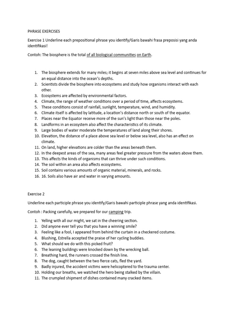 PHRASE EXERCISES USM | PDF