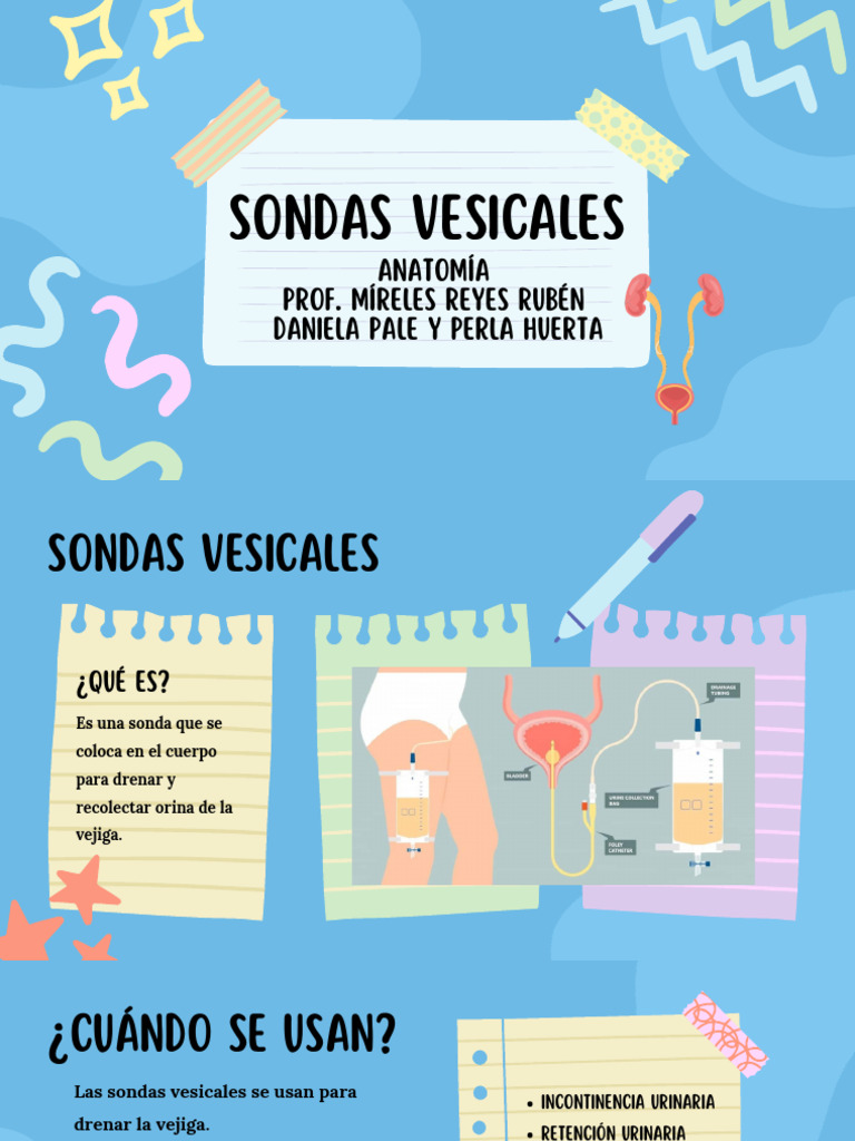 Sondas Vesicales Pdf Medicina Urología