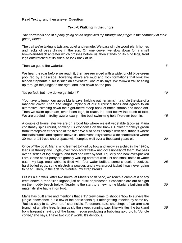 Insert Paper Interview Writing | PDF