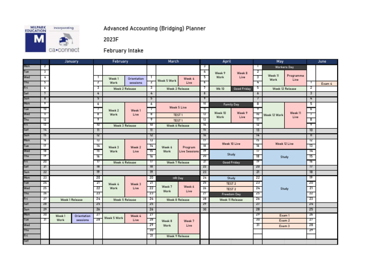 Milpark Bridging Planner Feb 2023 Intake B23F | PDF