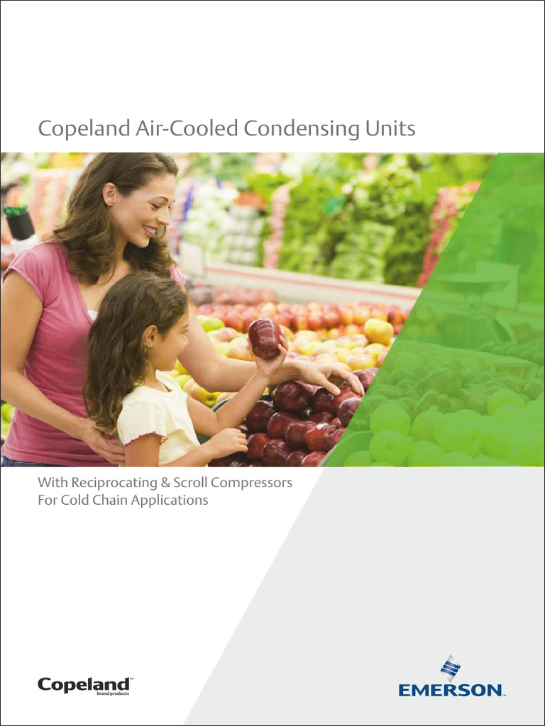 Air Cooled Cdu Brochure en SG 4858000 | PDF