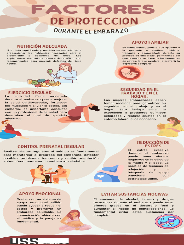 Factores de Proteccion Durante El Embarazo | PDF